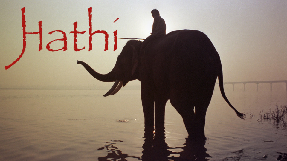 Hathi Quotes Hathi/Quotes | Jungle Book 3D Wiki | Fandom
